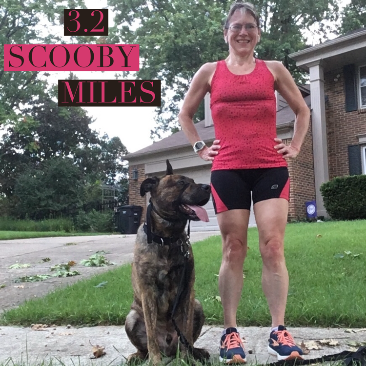 Scooby Doo Virtual Run And Other Race Dilemmas : Got2Run4MeRunning With ...