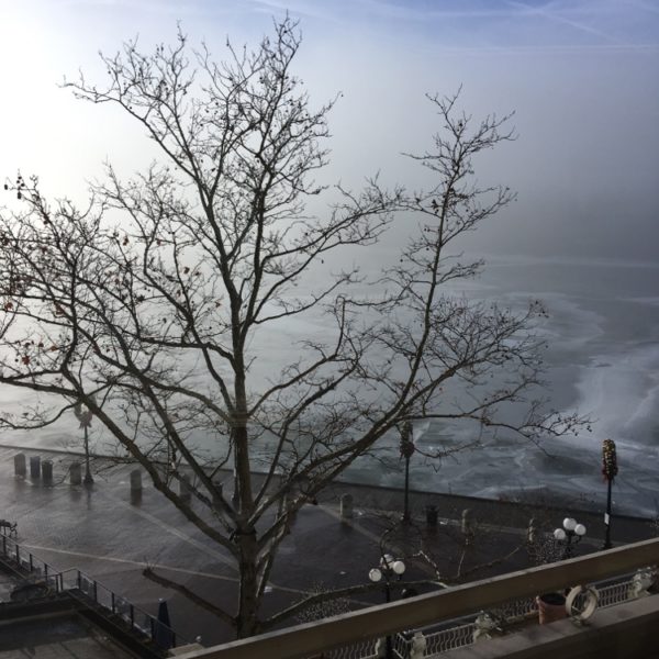 In A January Fog : Got2Run4MeRunning With Perseverance