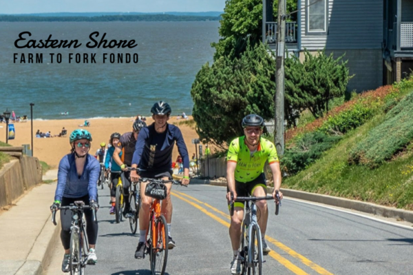 Eastern Shore Farm To Fork Fondo : Got2Run4MeRunning With Perseverance